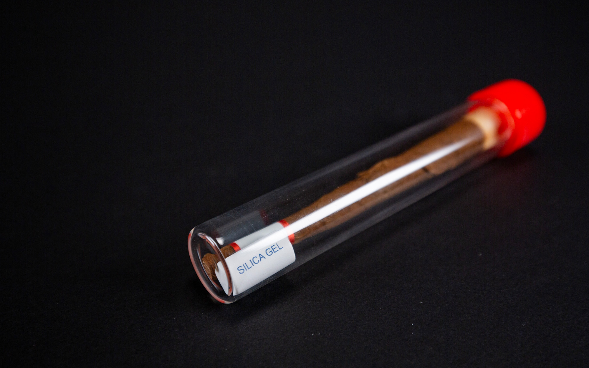 Multiform CSF Canisters | Multisorb