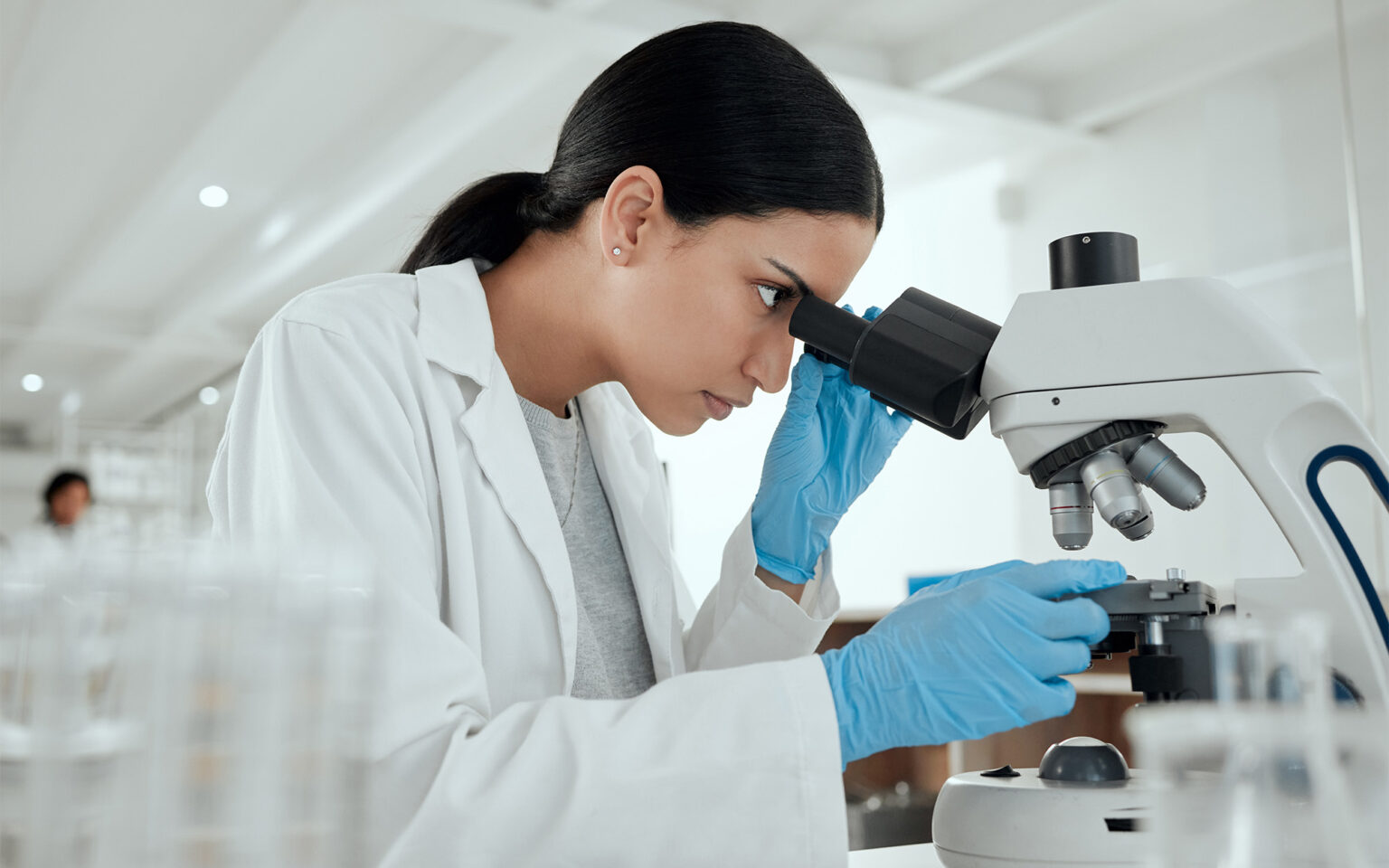 Product Simulation | Multisorb